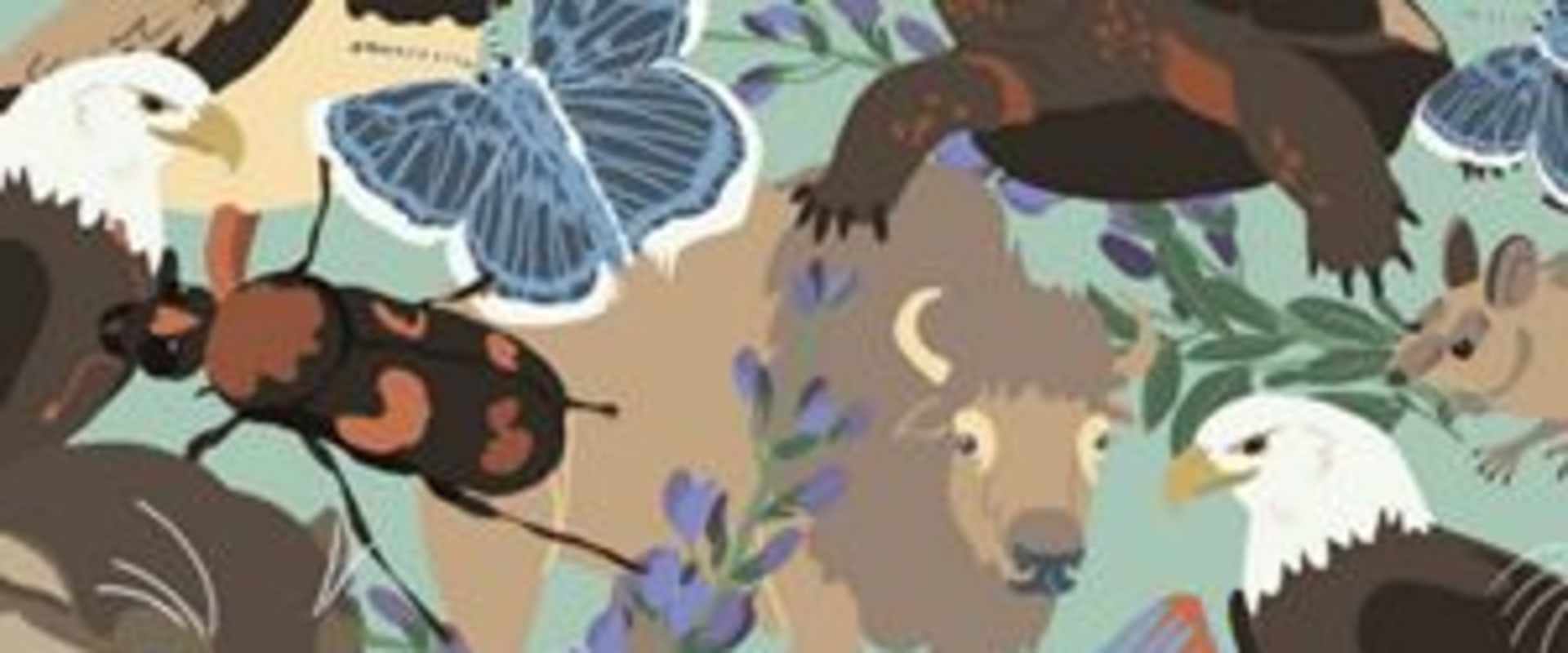Protecting Endangered Species and Habitats in Central Missouri